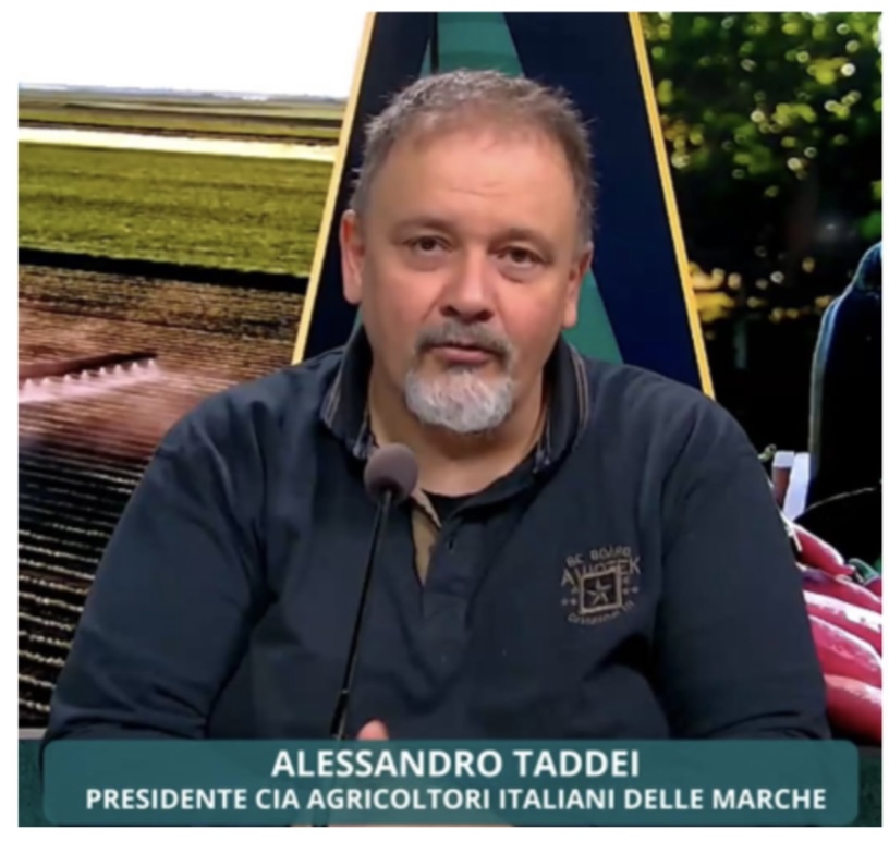 Legge sulla caccia, Taddei (Cia Marche): “Dialogo aperto con la Regione ...